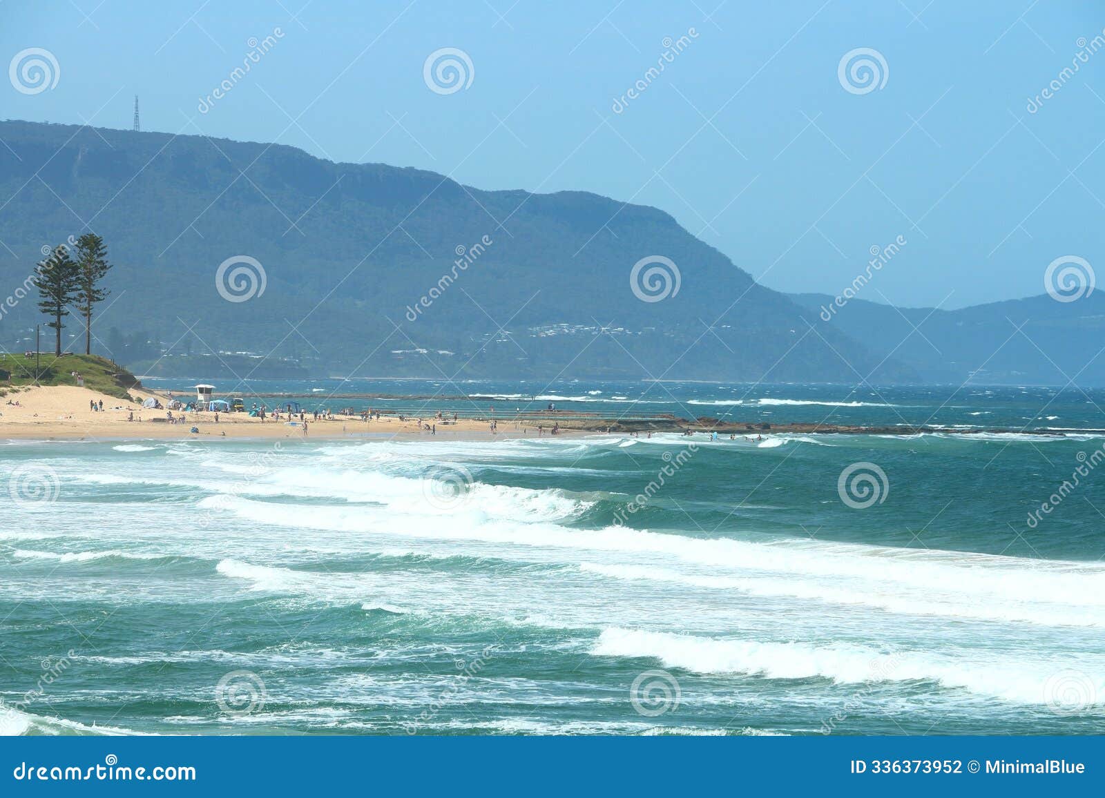 Lone Evergreen Tree Standing on a Grassy Hill with a Clear Blue Sky in ...