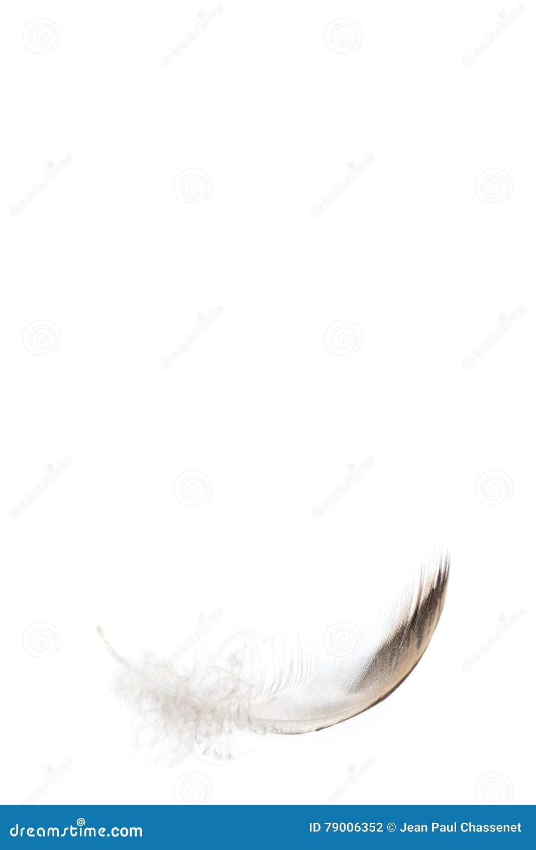 Lone Feather in the Sky, Symbol of Softness Stock Photo - Image of ...