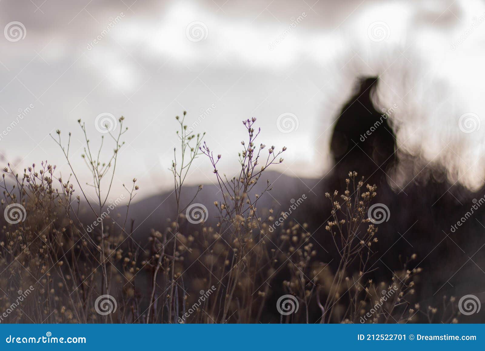 Lone Figure in the Distance Stock Image - Image of figure, water: 212522701