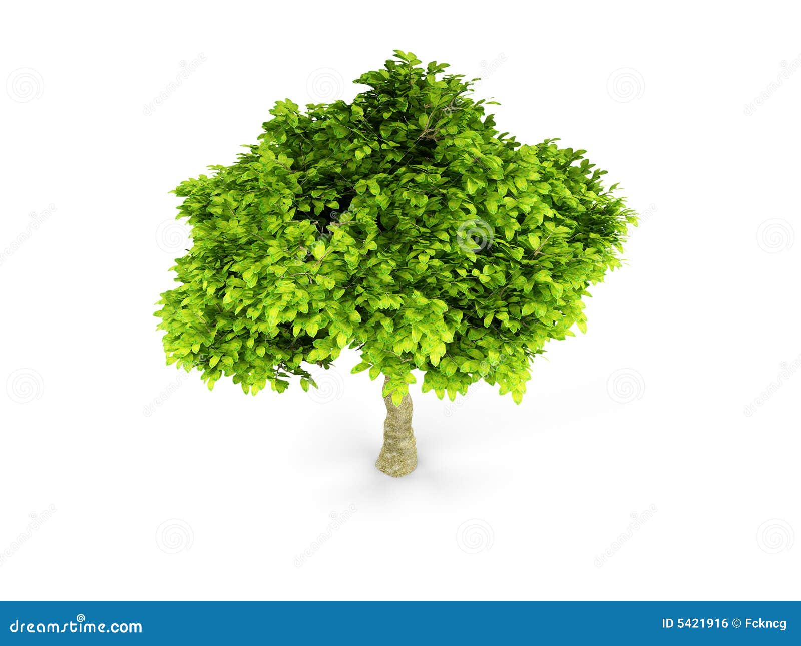 Lone Green Tree Isolated on White Stock Illustration - Illustration of ...