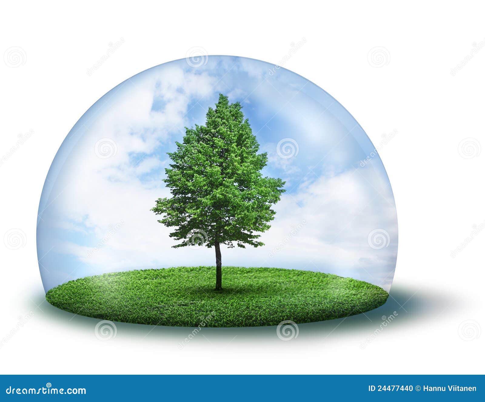 Lone Green Tree Under Protective Dome Stock Photo - Image of fresh ...