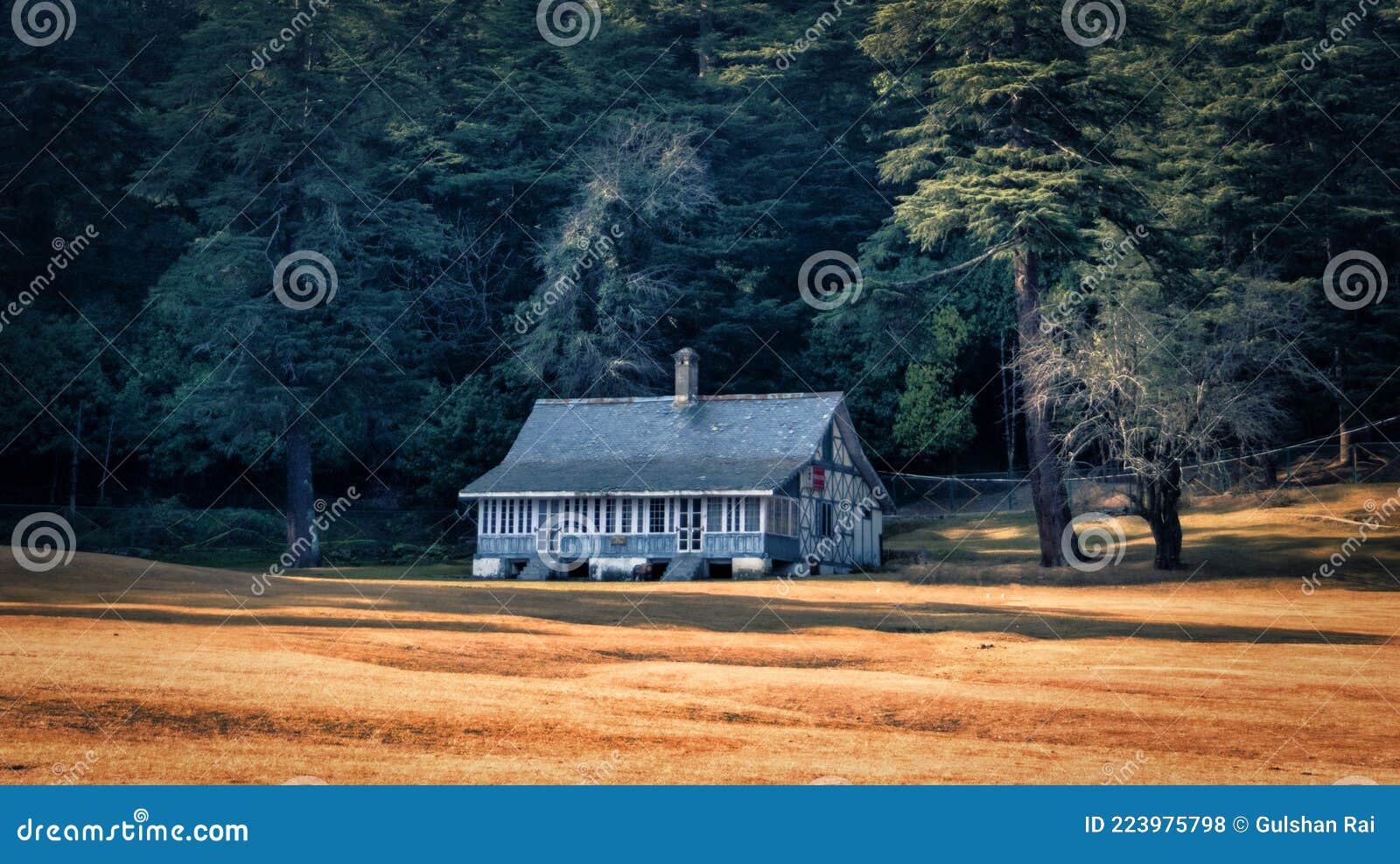 Lone house in the forest stock photo. Image of evening - 223975798