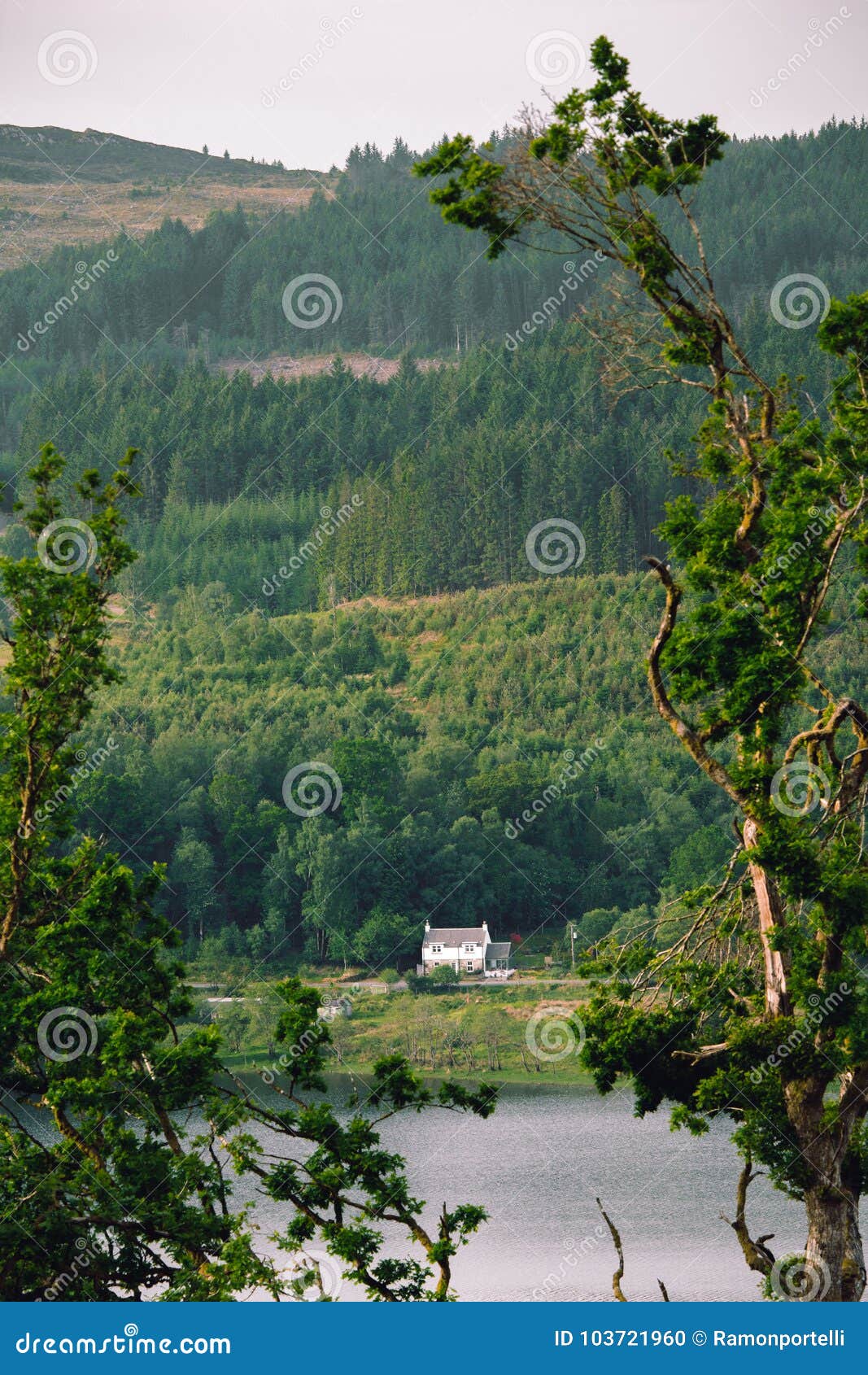 Lone House by the Shore of Loch Achray, Scottish Highlands Stock Photo ...