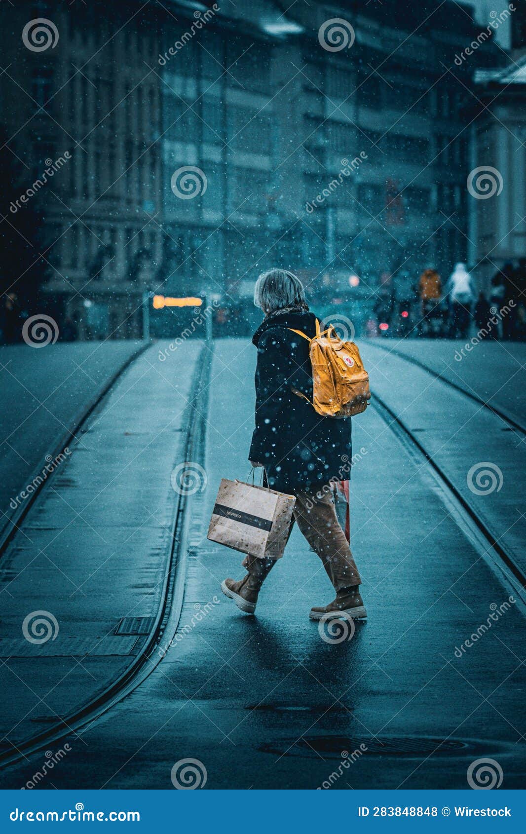 Lone Individual is Walking in the Snow Over a Bridge in Basel ...