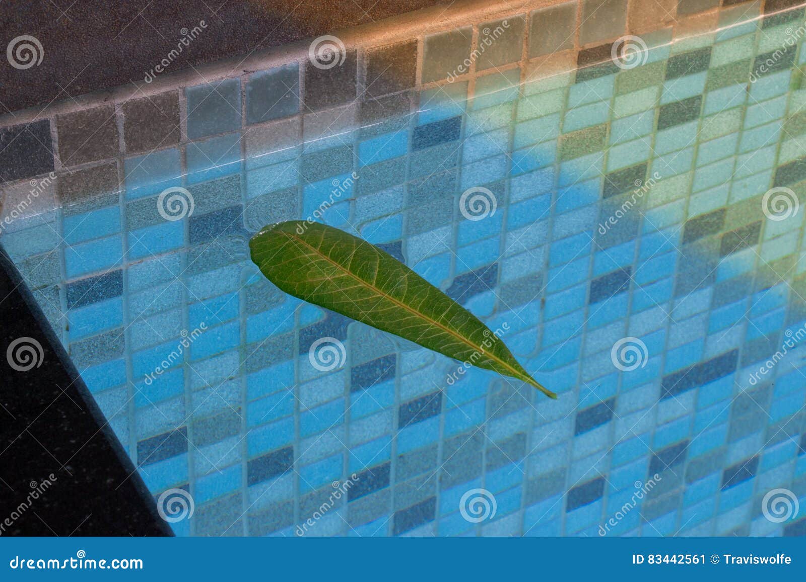 Lone Leaf Floating the Pool with Ray of Light in the Corner in D Stock ...