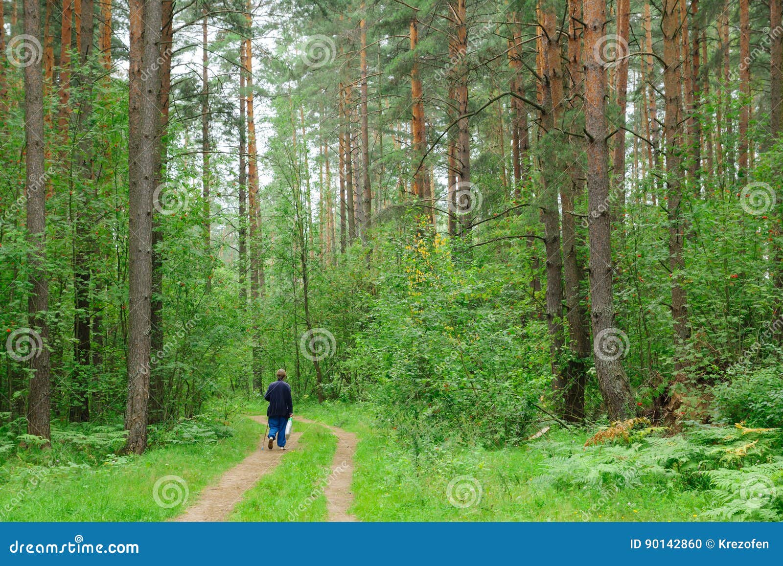 Lone Man Walking Slowly through the Woods Stock Photo - Image of dirty ...