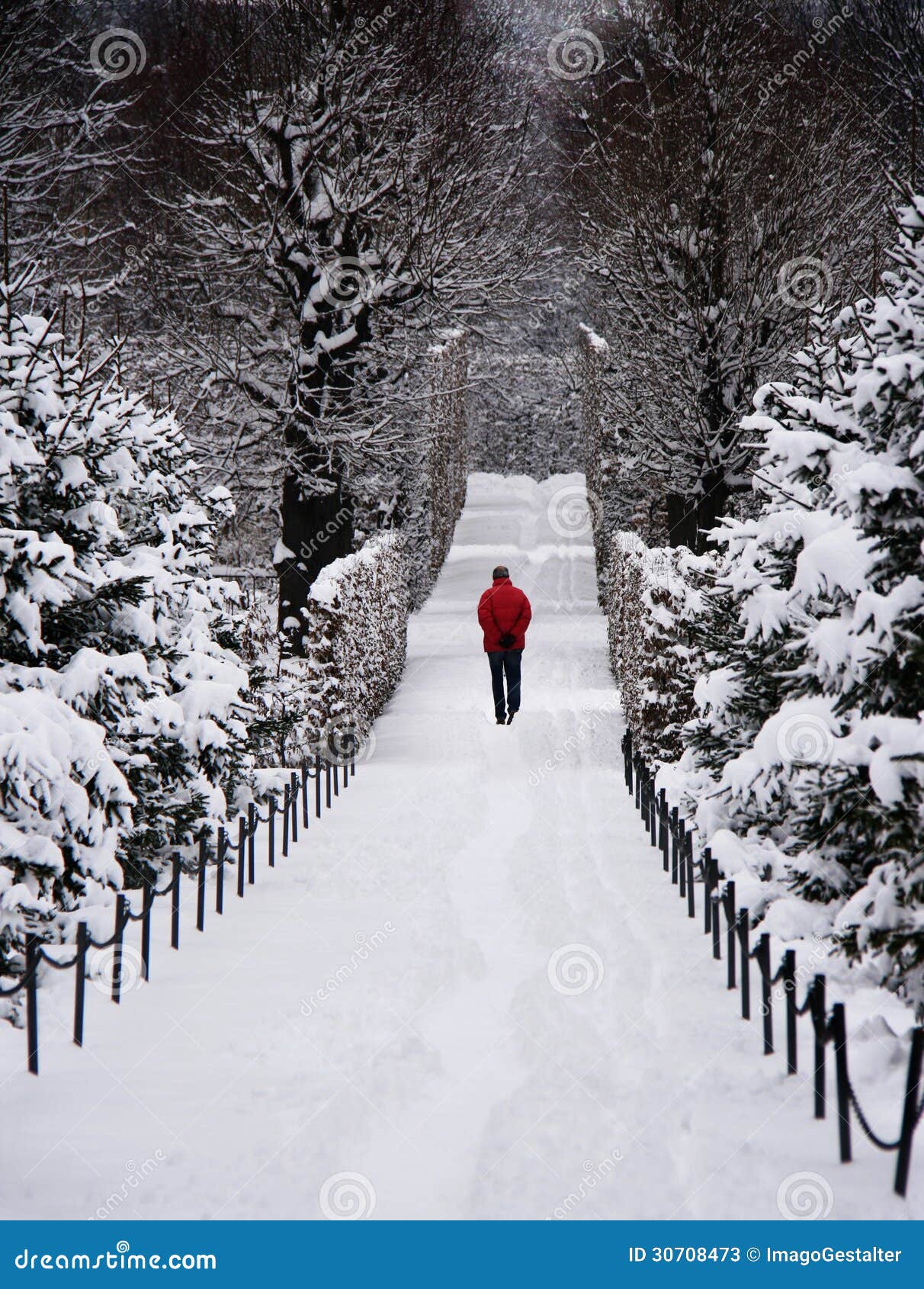 Snow walker stock image. Image of peace, outdoors, person - 30708473