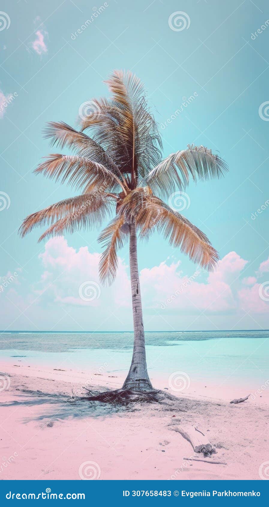 Lone Palm Tree on Serene Pink Beach Shoreline Stock Image - Image of ...