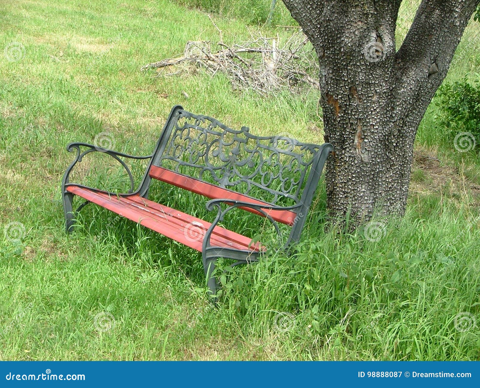 Lone Park Bench stock image. Image of lone, sits, public - 98888087