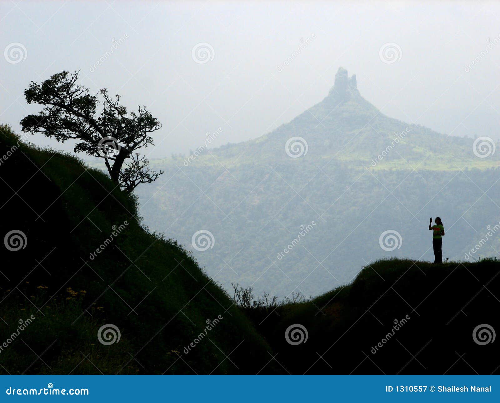 A Lone Photographer stock image. Image of persuit, classic - 1310557