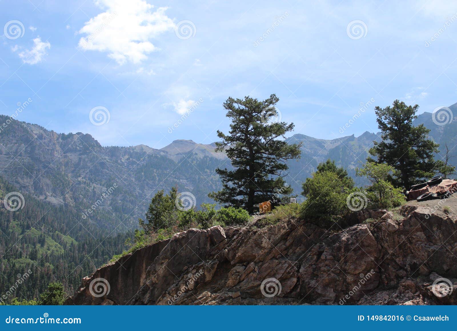 Lone Pines stock photo. Image of large, pines, lone - 149842016