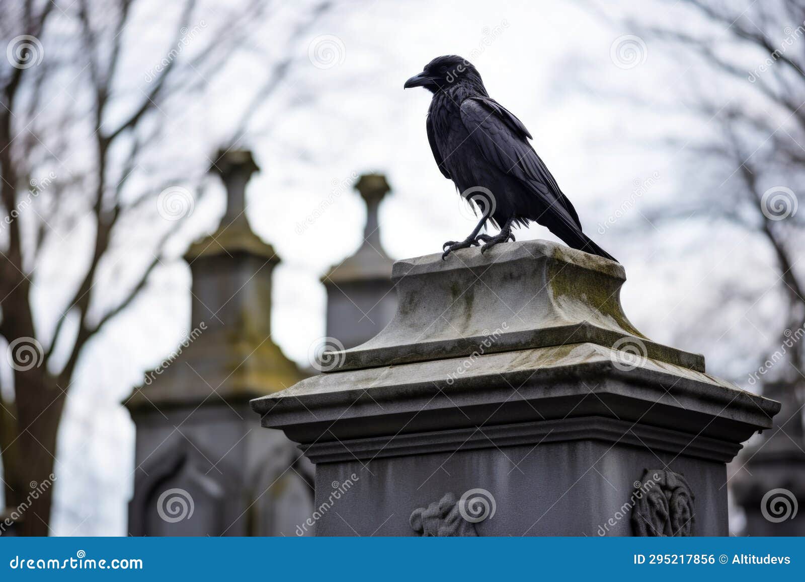 A Lone Raven Sitting on a Stone Monument in a Cemetery Stock Photo ...