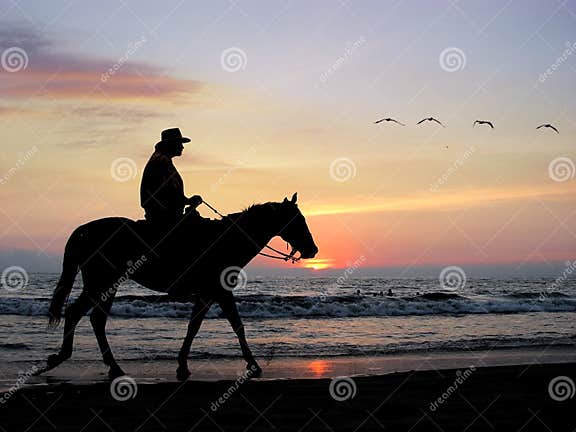 Lone rider stock image. Image of horseback, tropical, travel - 50669