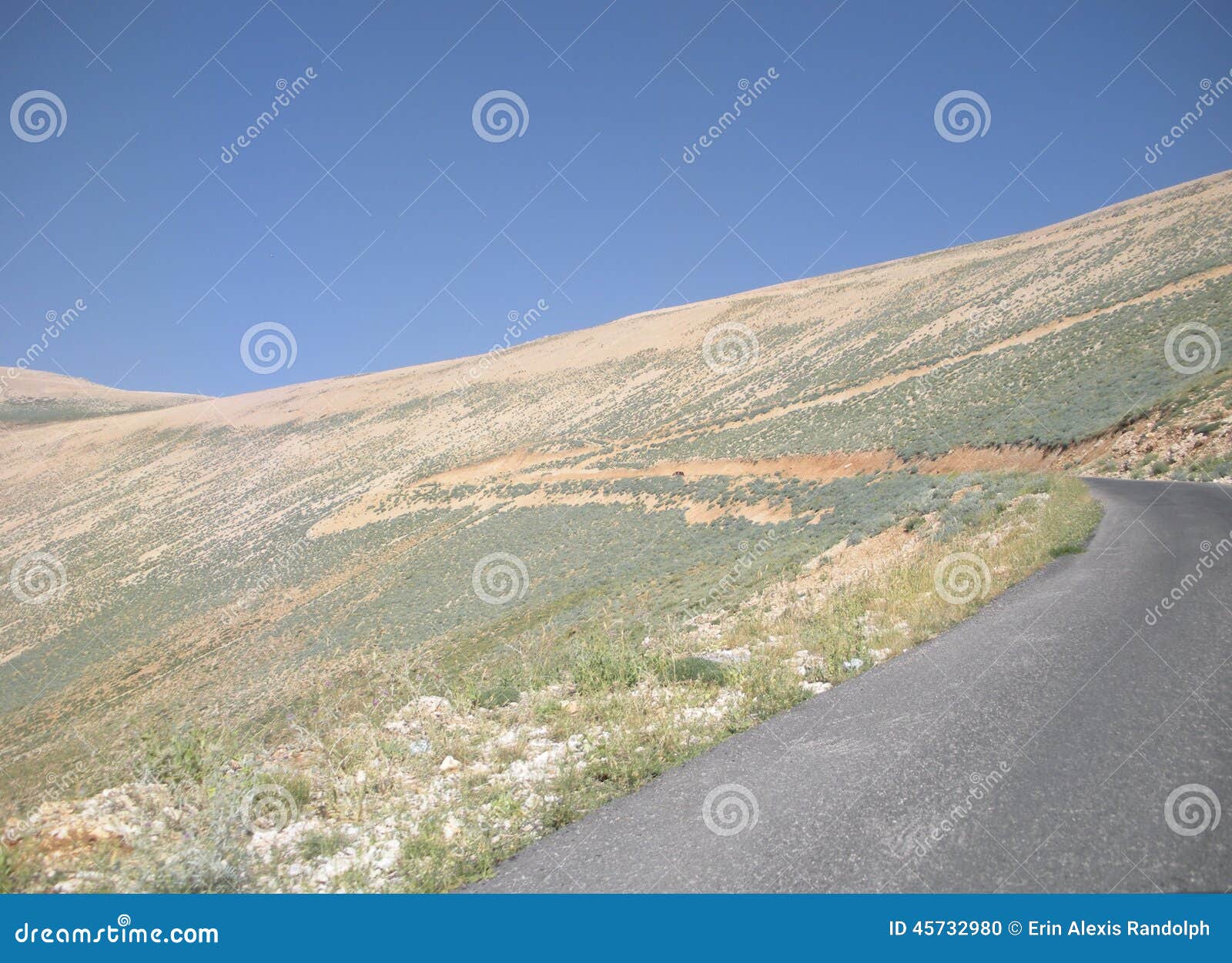 Lone Road stock photo. Image of grass, countryside, direction - 45732980