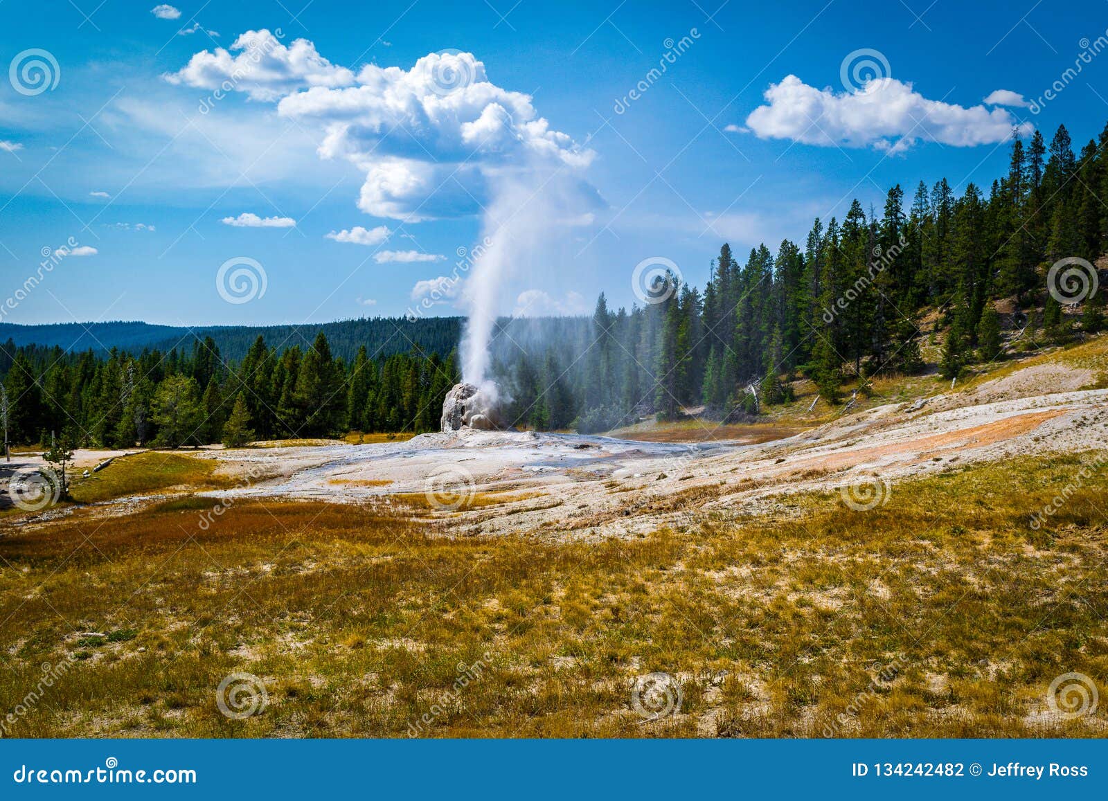 A Distant View of Lone Star Geyser, Yellowstone National Park Stock ...