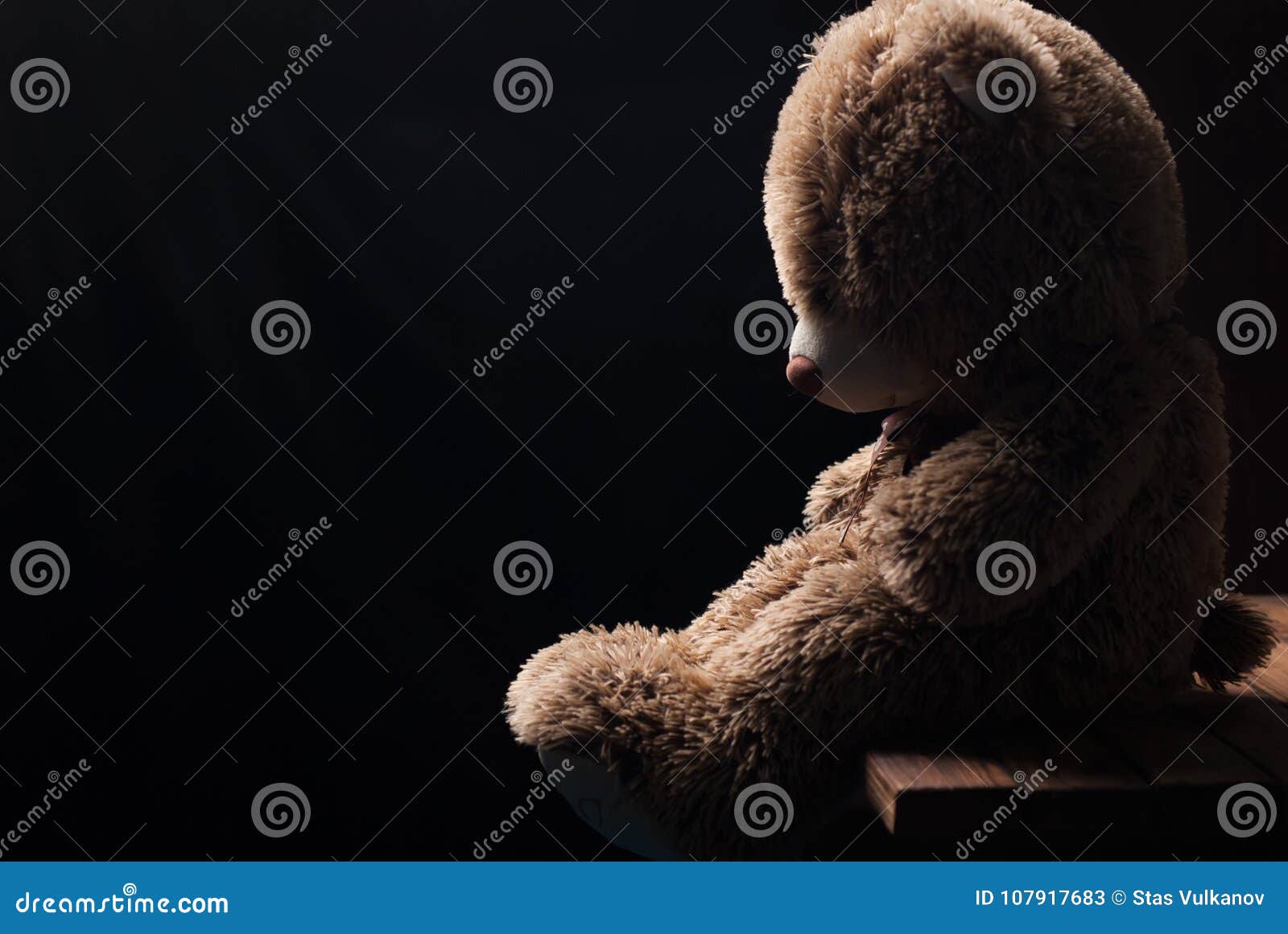 A Lone Teddy Bear Sitting in the Dark, Side View, Stock Image - Image ...