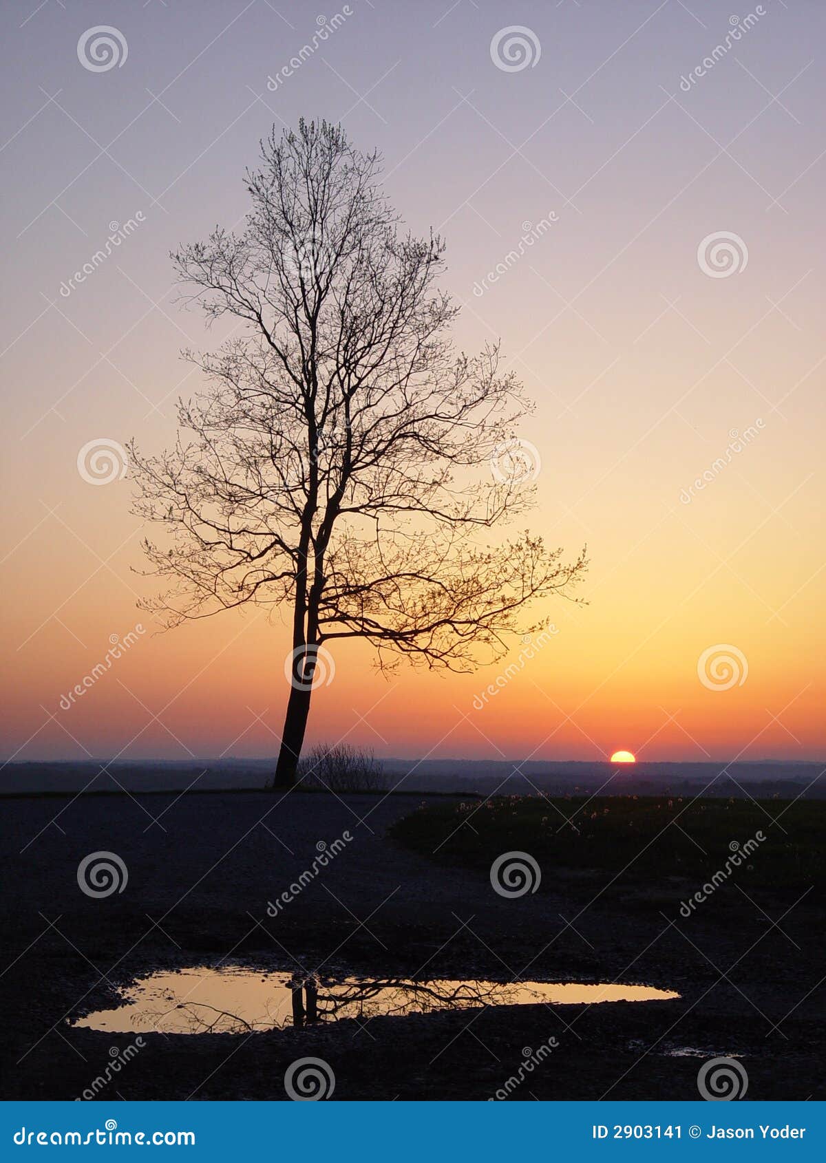 Lone tree stock image. Image of travel, county, indiana - 2903141