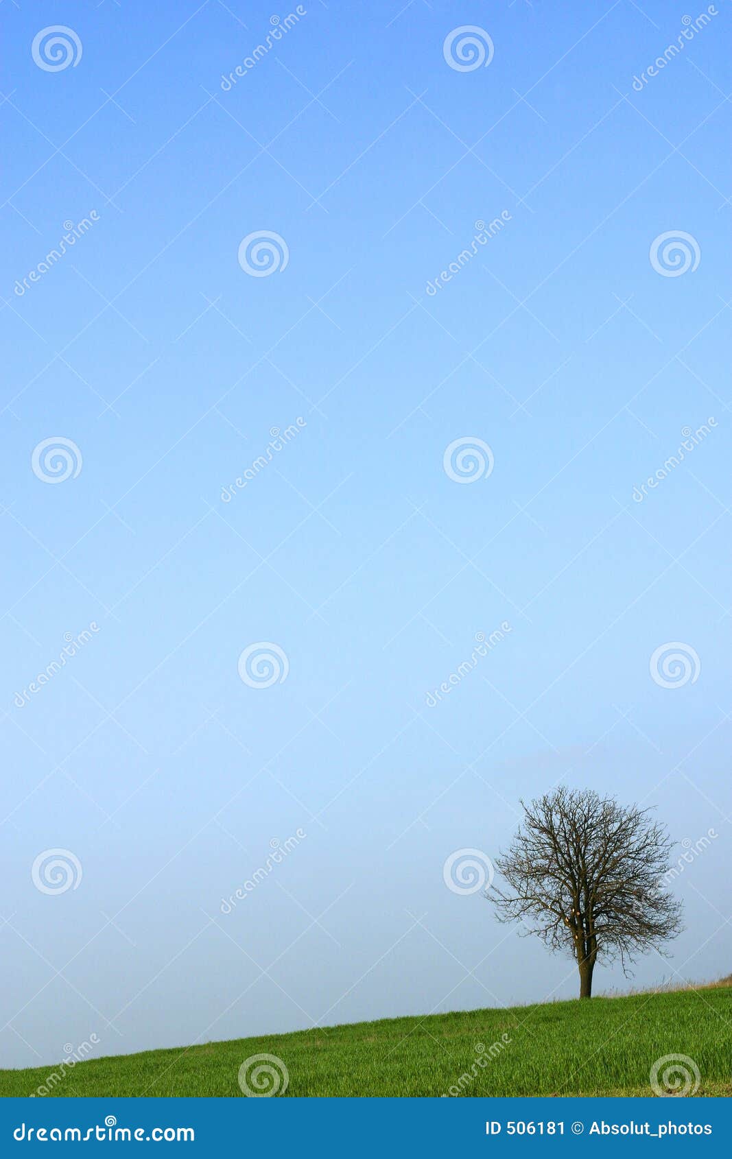 Lone tree stock image. Image of lone, spring, environment - 506181