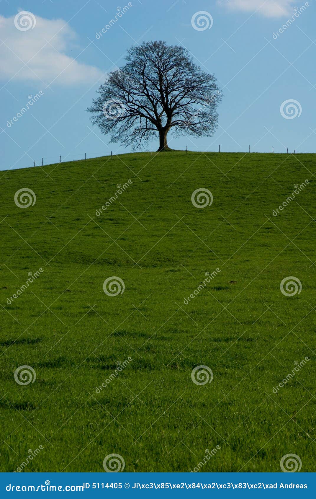 Lone tree stock image. Image of nature, climate, field - 5114405