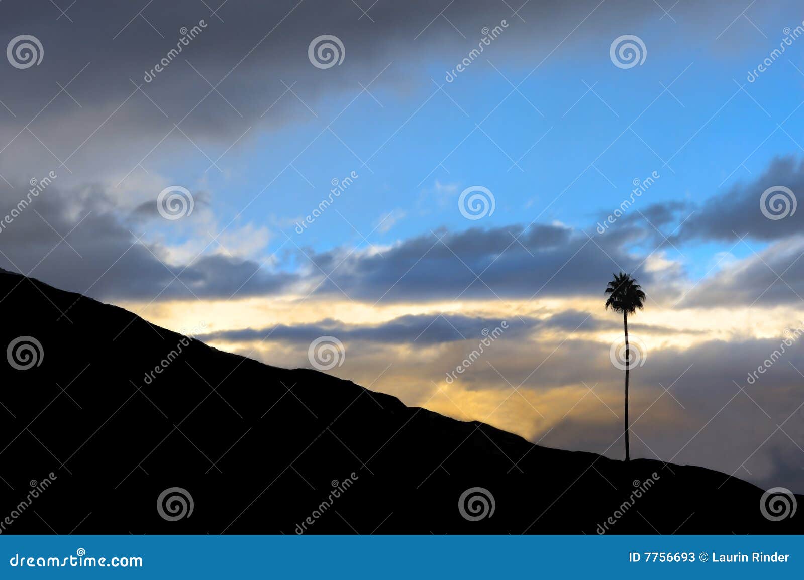 Lone Tree stock image. Image of terrain, nature, outside - 7756693
