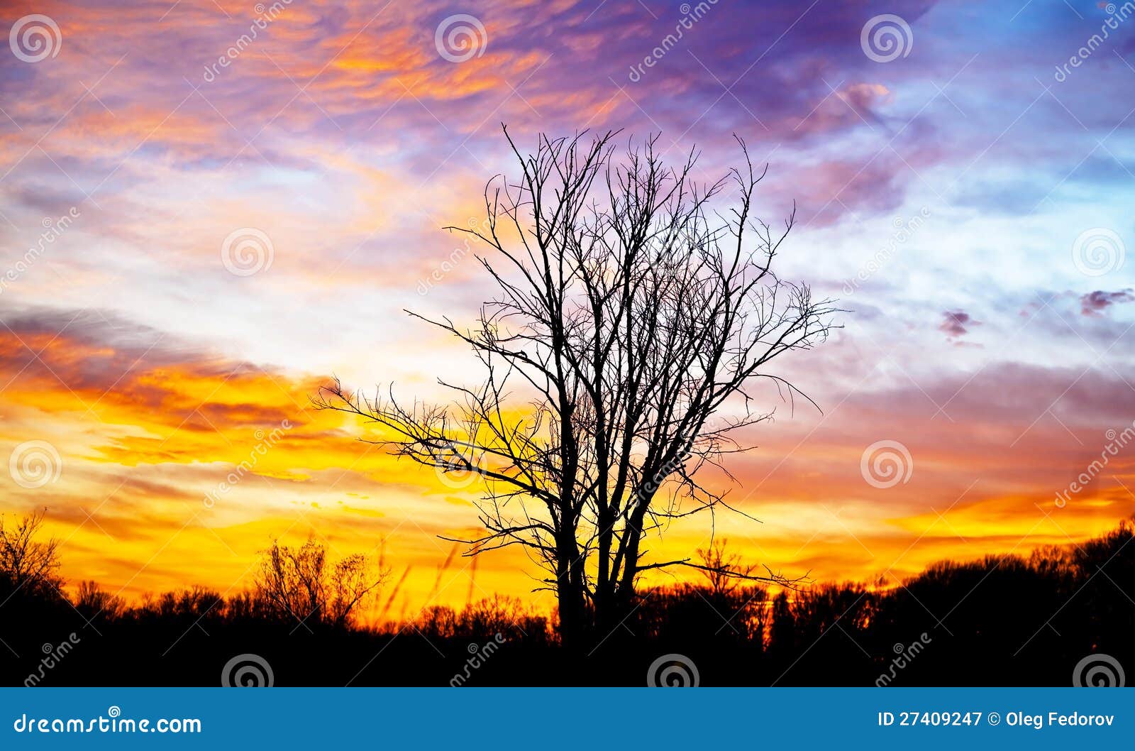 Lone Tree with a Beautiful Sunset Stock Image - Image of clouds ...