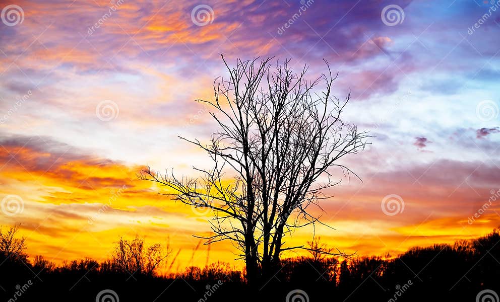 Lone Tree with a Beautiful Sunset Stock Image - Image of clouds ...