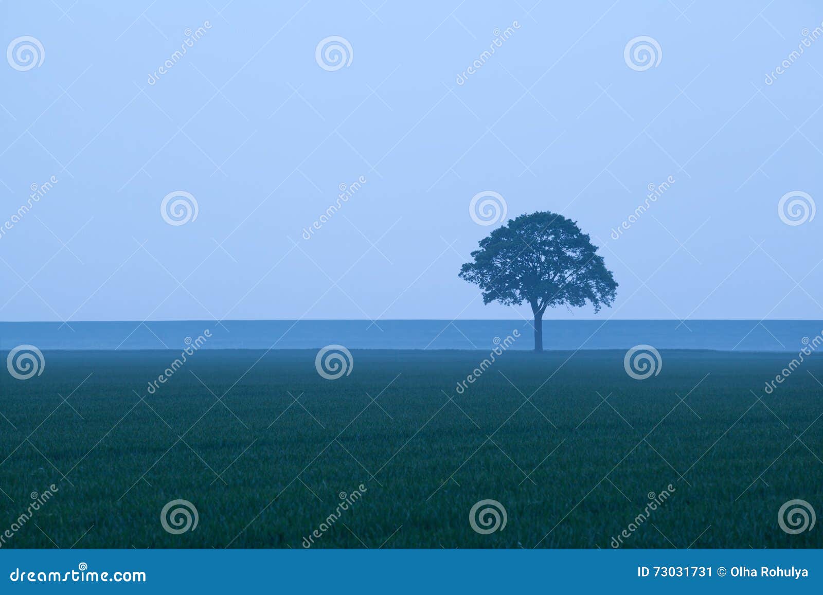 Lone tree in dusk stock image. Image of countryside, evening - 73031731