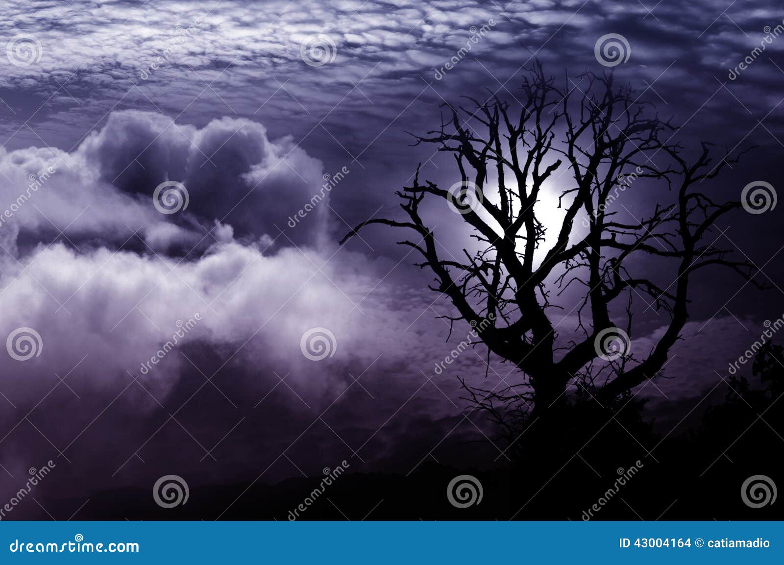 Lone tree fantasy stock photo. Image of scenery, moonlight - 43004164