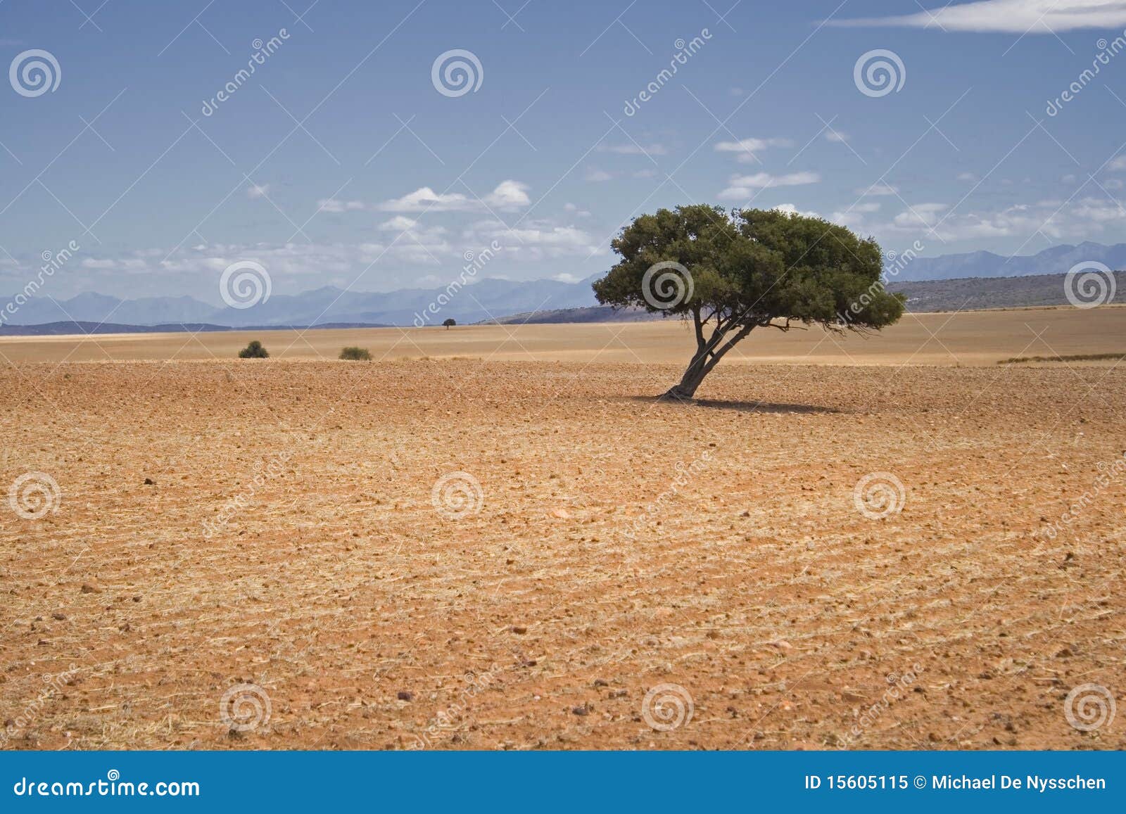 Lone Tree in Farm Fields Landscape Stock Image - Image of africa, tree ...