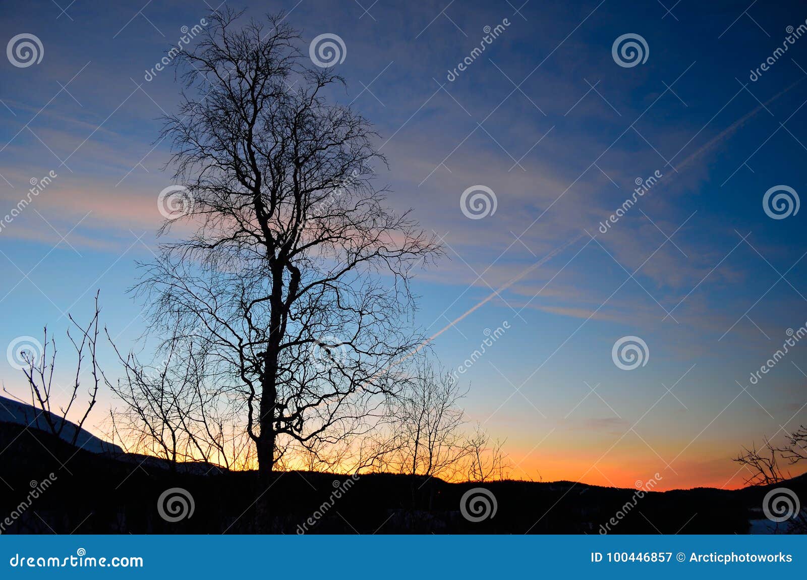 Lone Tree in Front of Colorful Dawn Sky Stock Image - Image of scene ... Lone Tree in Front of Colorful Dawn Sky Stock Image - Image of scene ...