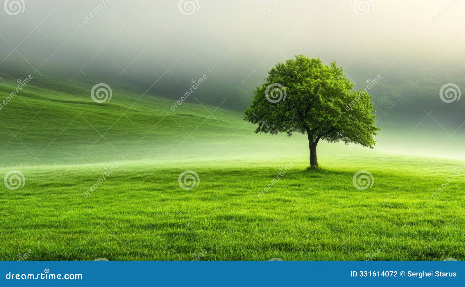A Lone Tree in a Green Field with Fog and Mountains, AI Stock Photo ...