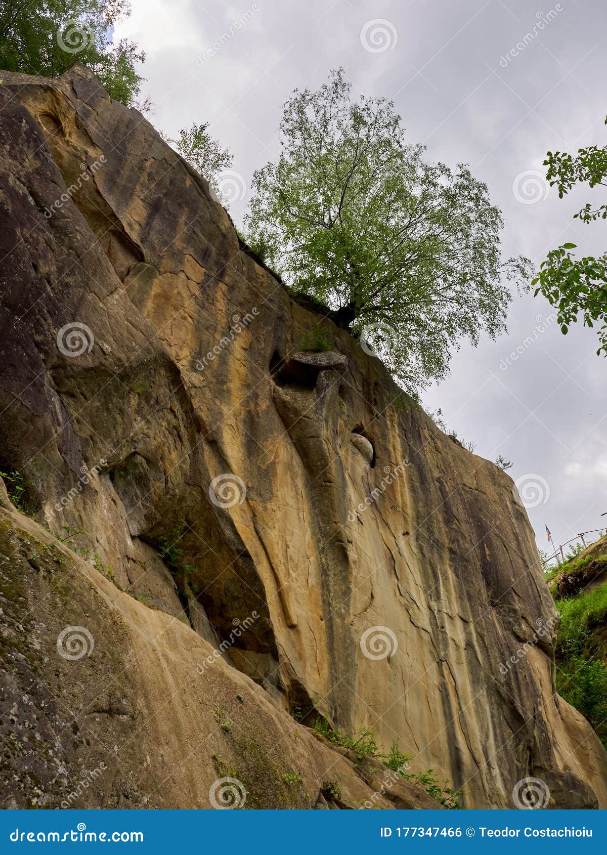 A Lone Tree Growing on the Edge of a Limestone Cliff Stock Photo ...