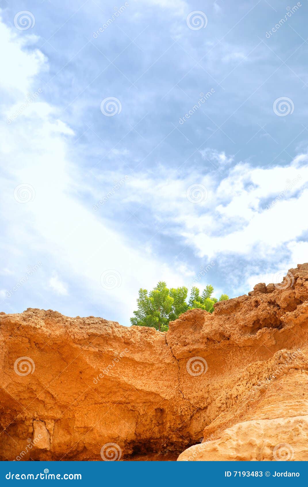 Lone Tree Growing on Side of Rock Stock Image - Image of wildlife ...