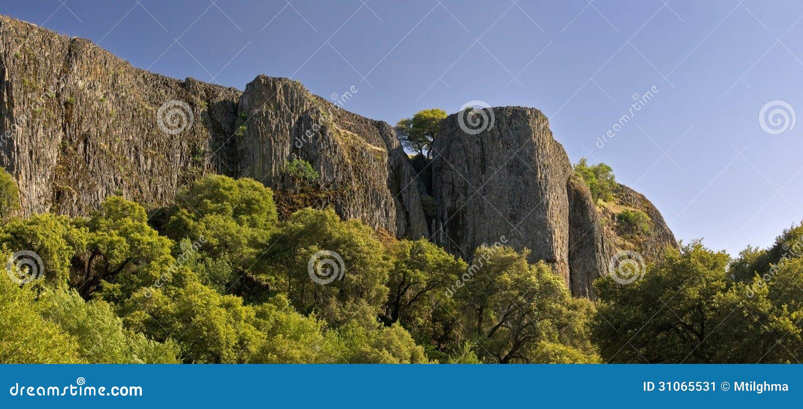 Lone Tree Grows among Sheer Cliffs Stock Image - Image of nature ...