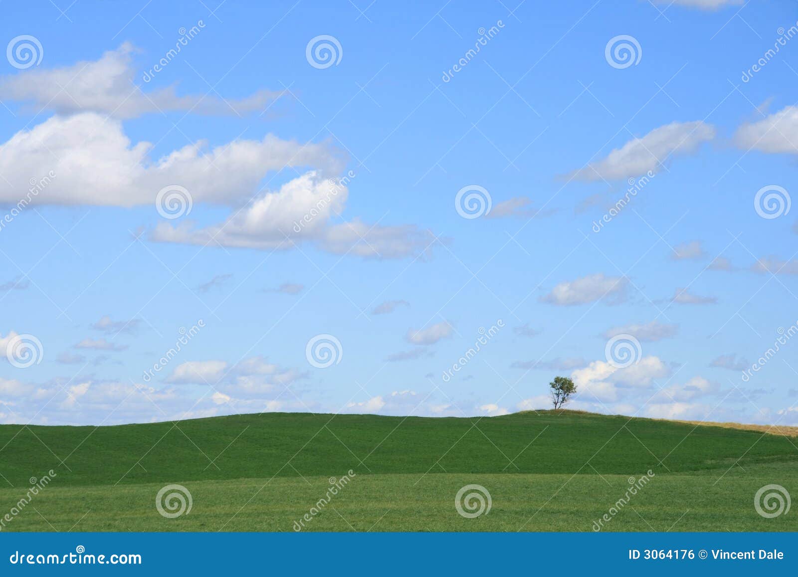 Lone Tree Landscape stock photo. Image of lone, lonely - 3064176