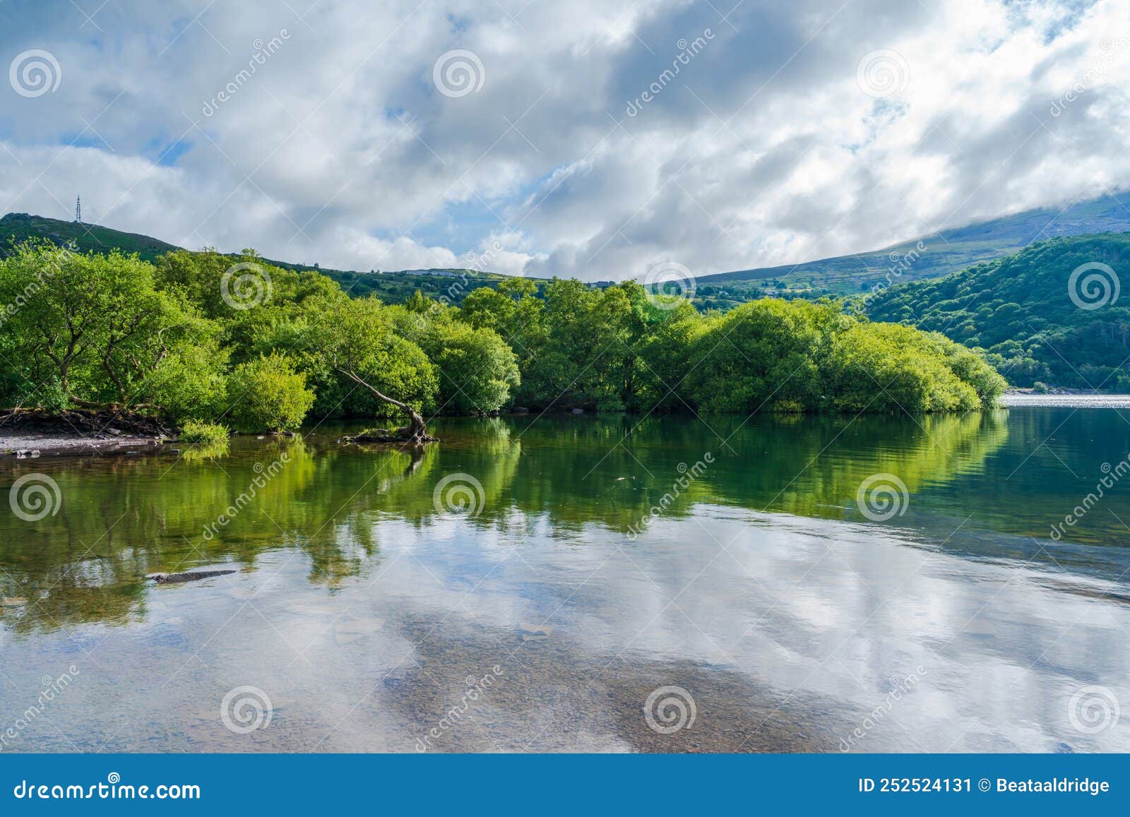 Lone Tree stock image. Image of peaceful, llanberis - 252524131
