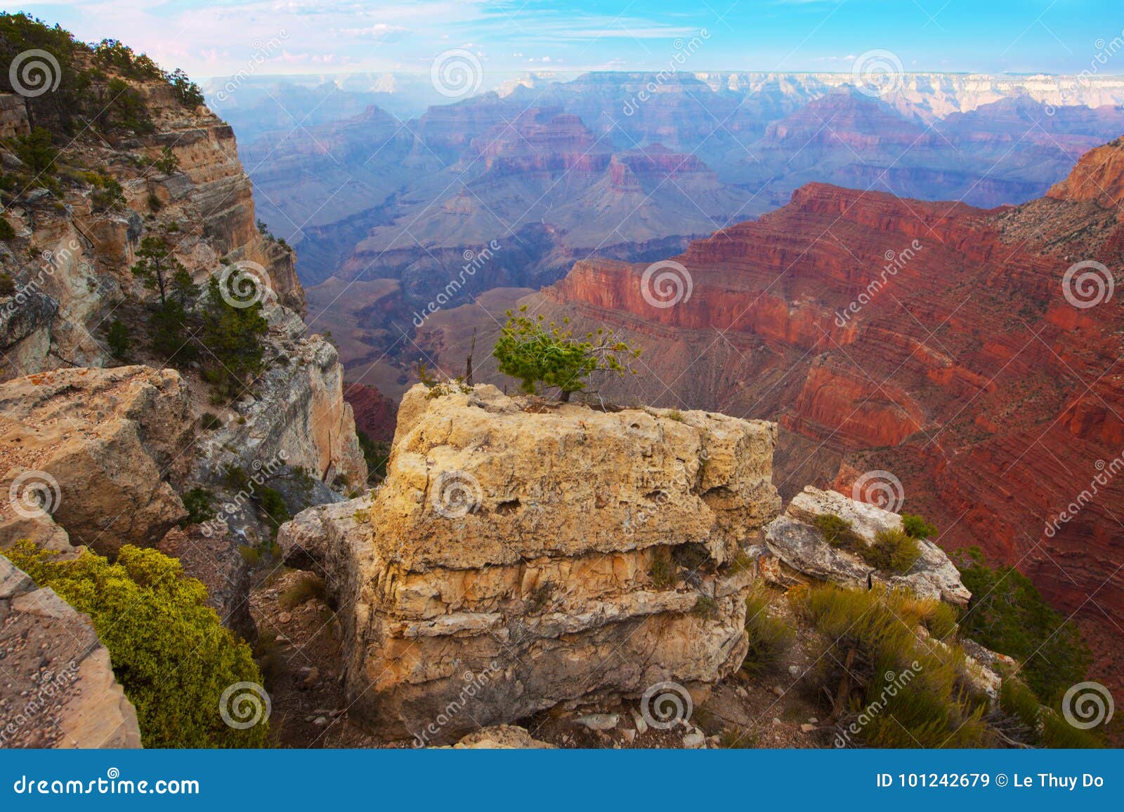 Lone Tree stock image. Image of background, america - 101242679