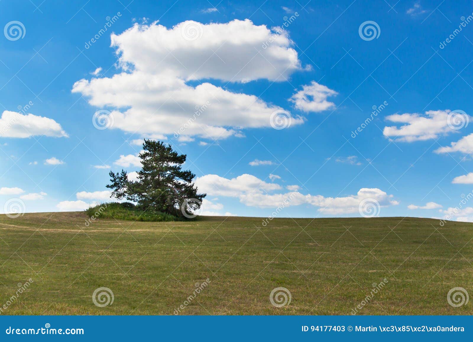 A Lone Tree on a Meadow. Pine Tree on the Horizon Against a Blue Sky ...