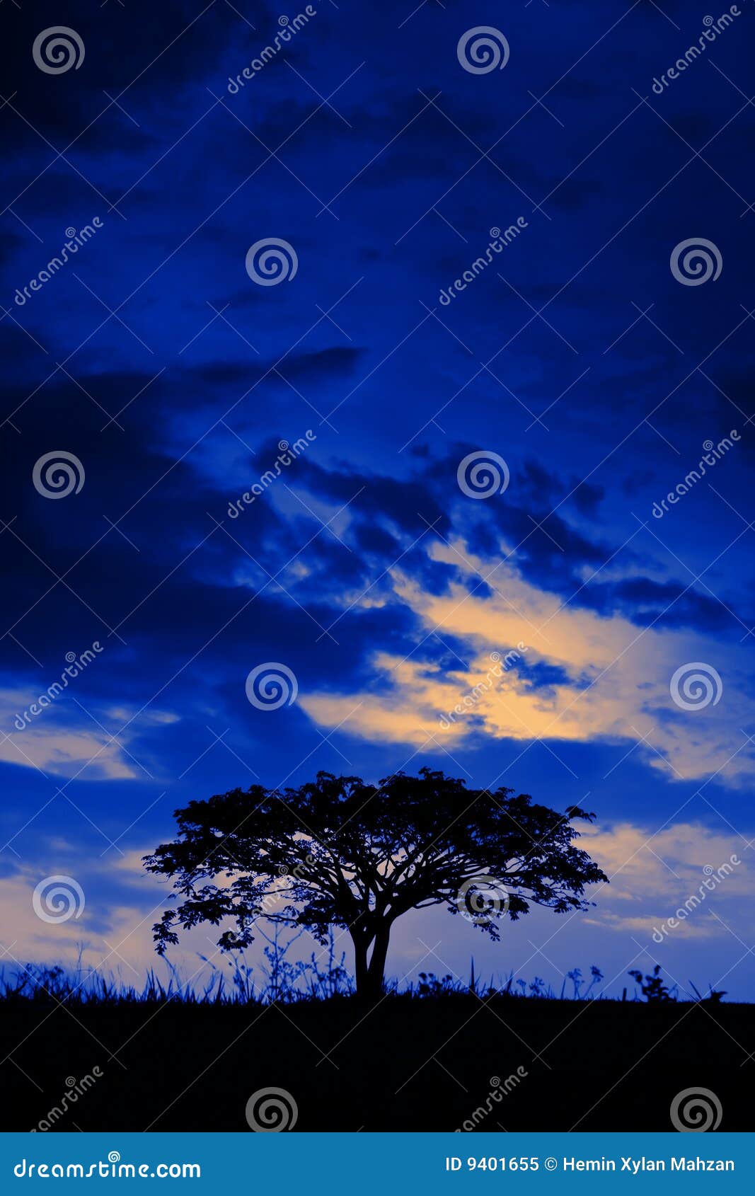 Lone tree at midnight stock image. Image of shadow, malaysia - 9401655