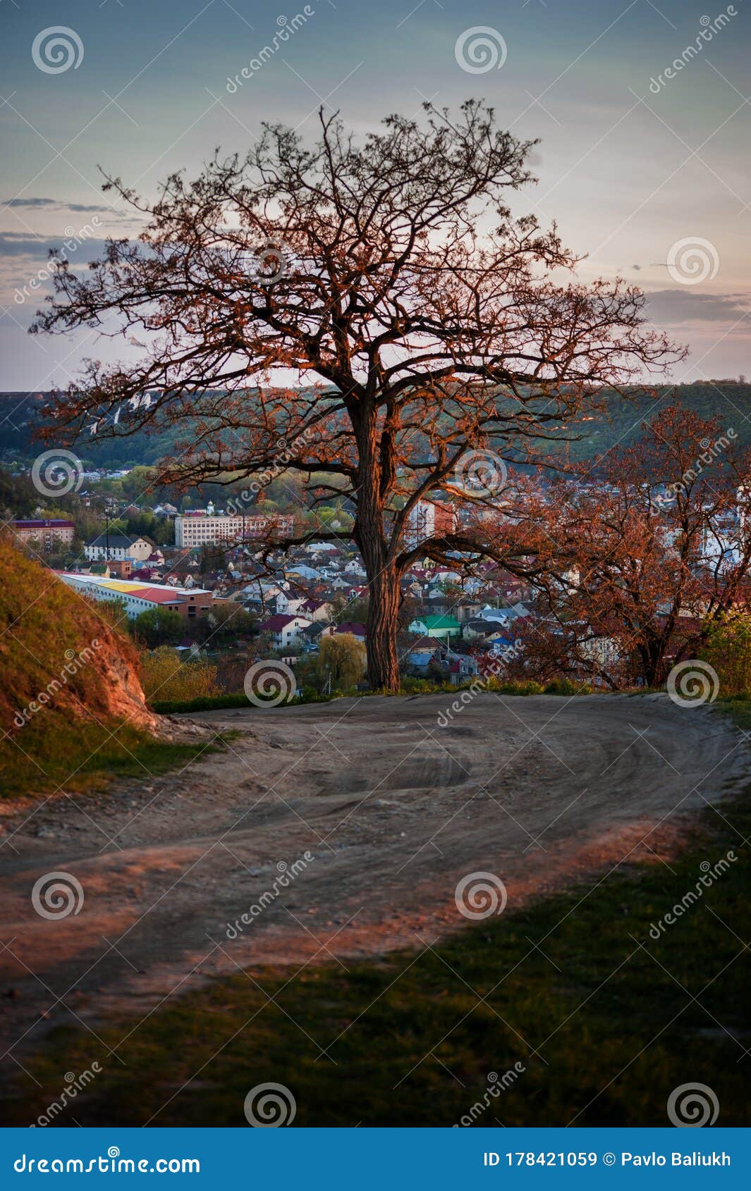 Lone Tree Near Road Under Panoramic View at the Town, Sunset Light ...