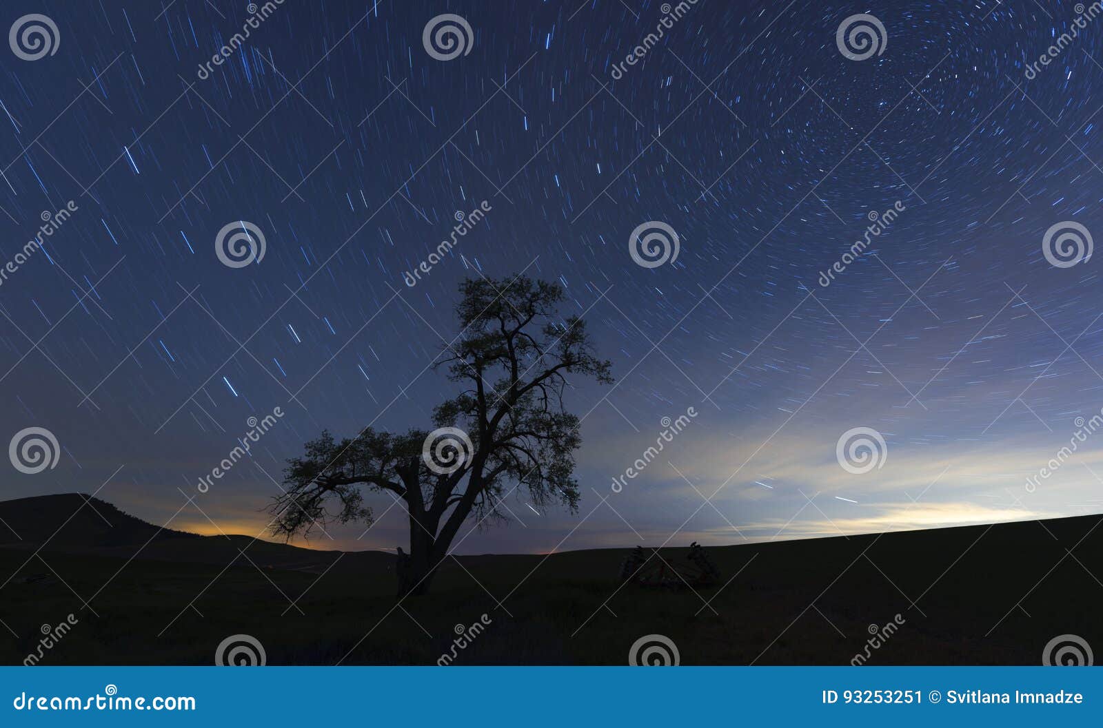 Lone Tree at Night stock image. Image of starry, tree - 93253251