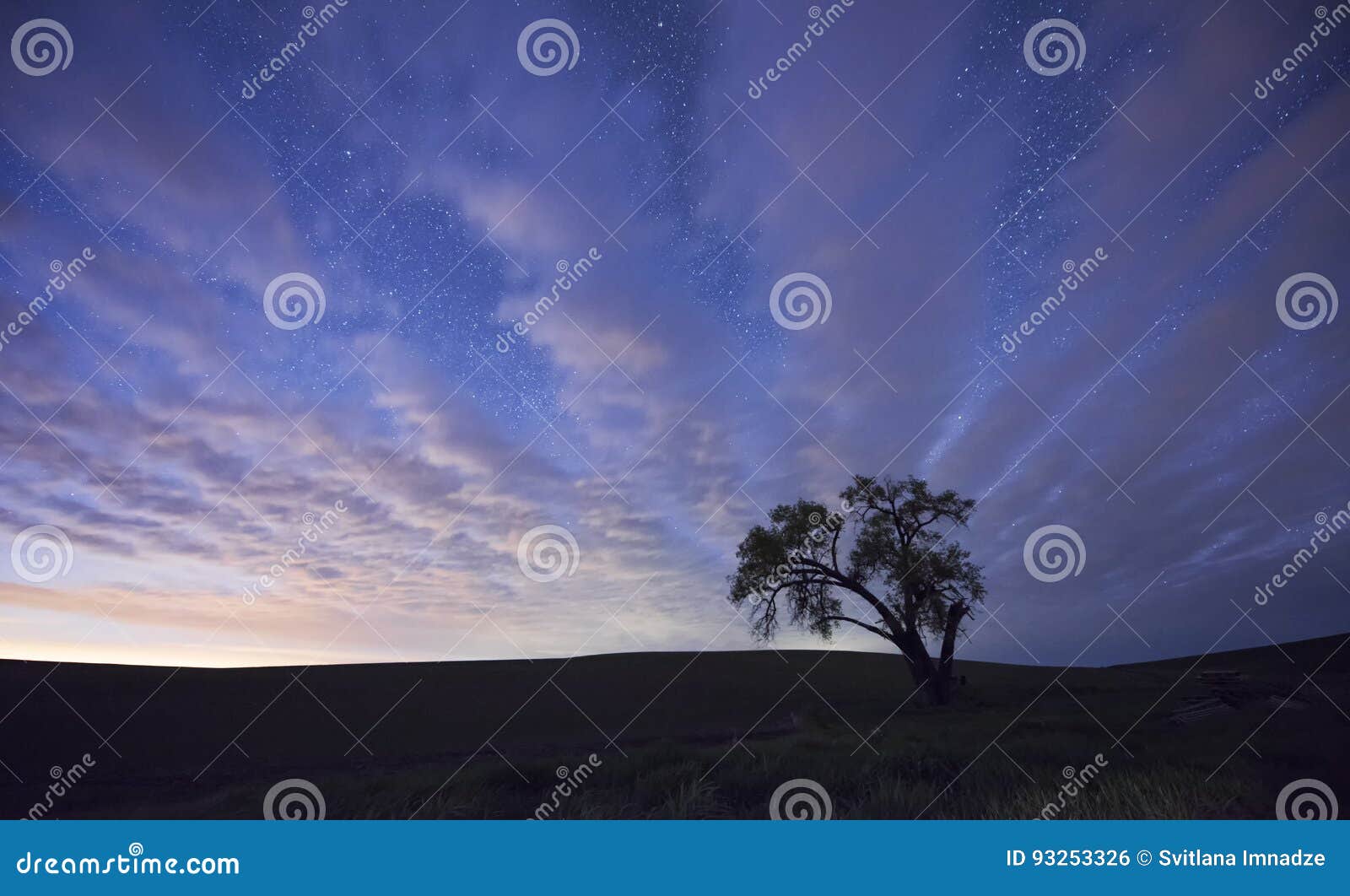 Lone Tree at Night stock photo. Image of nature, palouse - 93253326