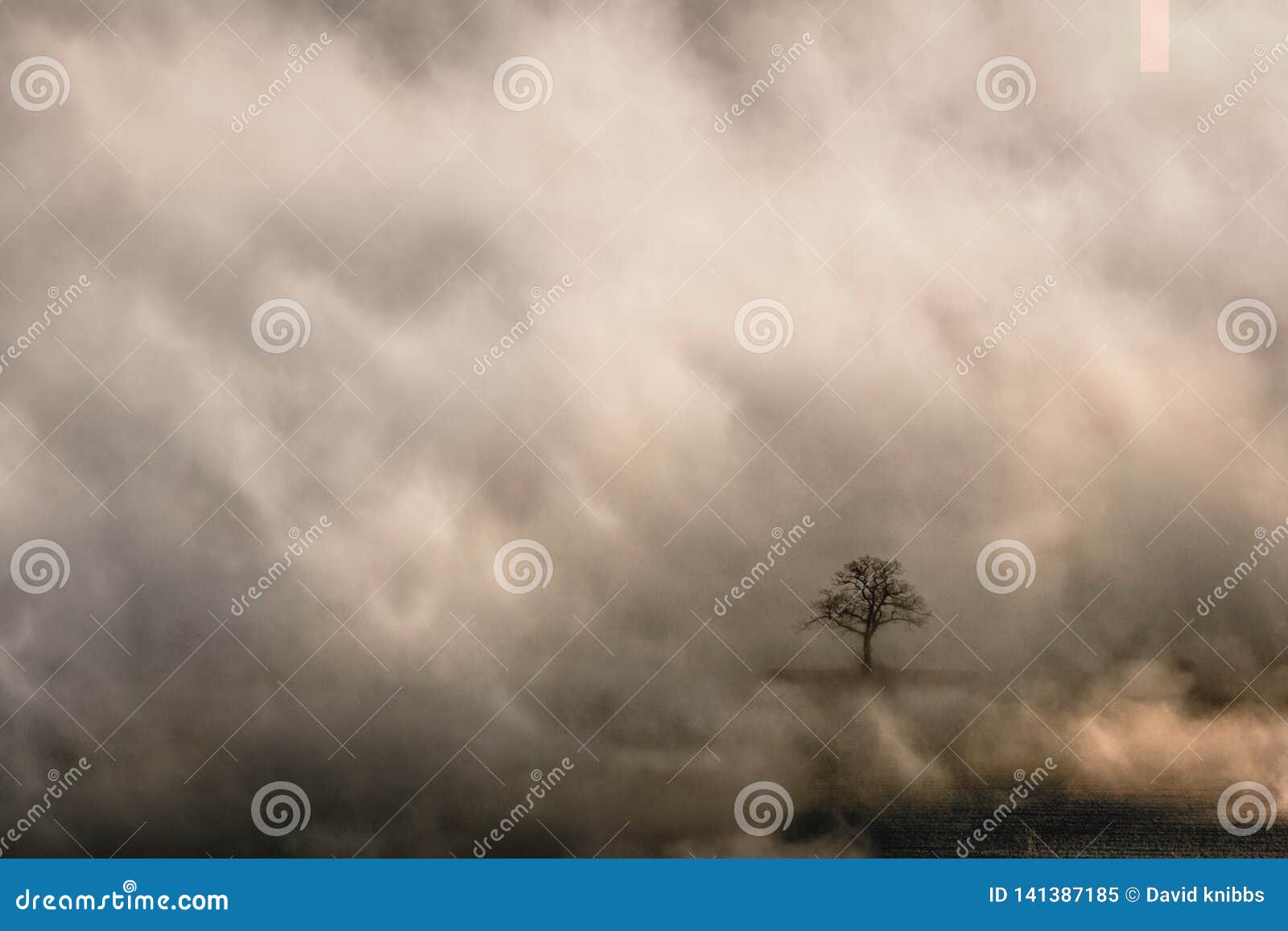 Lone Tree in an Opening in Early Morning Mist in Malvern Hills Stock ...