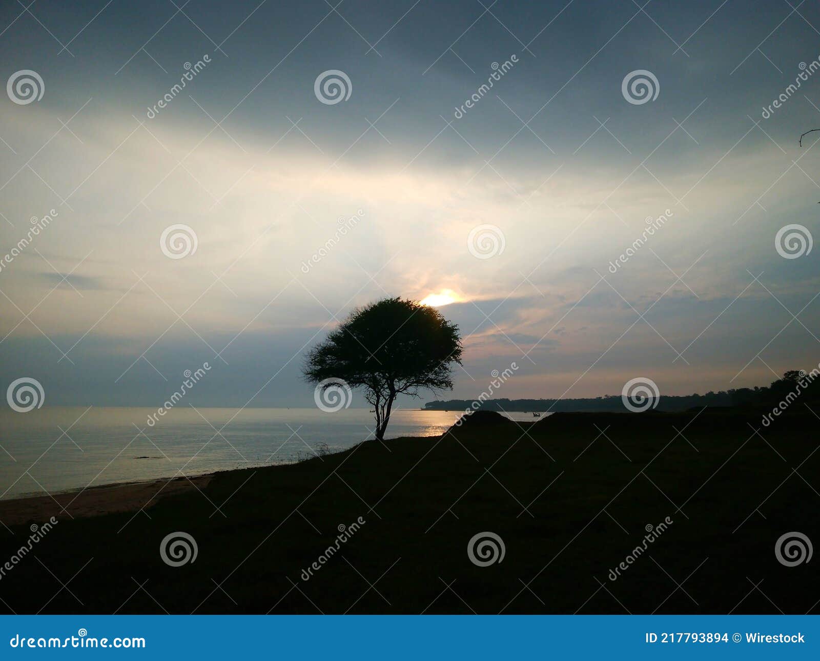 Lone Tree Overlooking the Ocean at Sunset Stock Photo - Image of ...