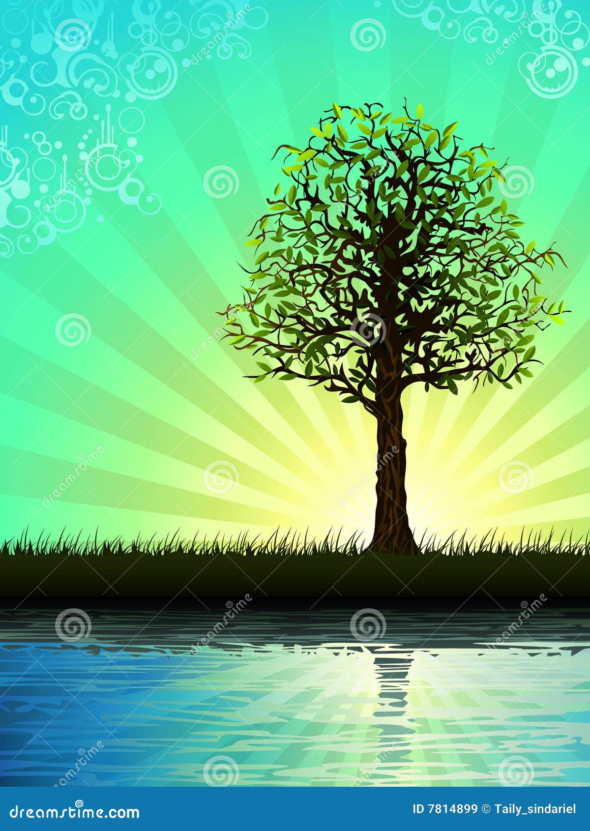 Lone Dry Tree On Lake Or River At Sunset, Panoramic Minimalist ...