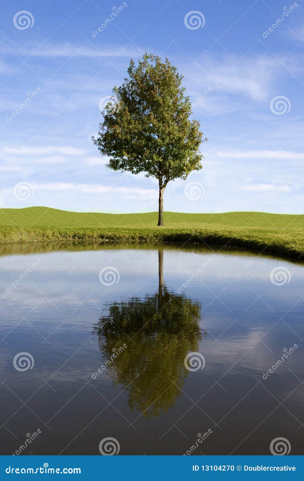 Lone tree reflection stock photo. Image of water, wood - 13104270