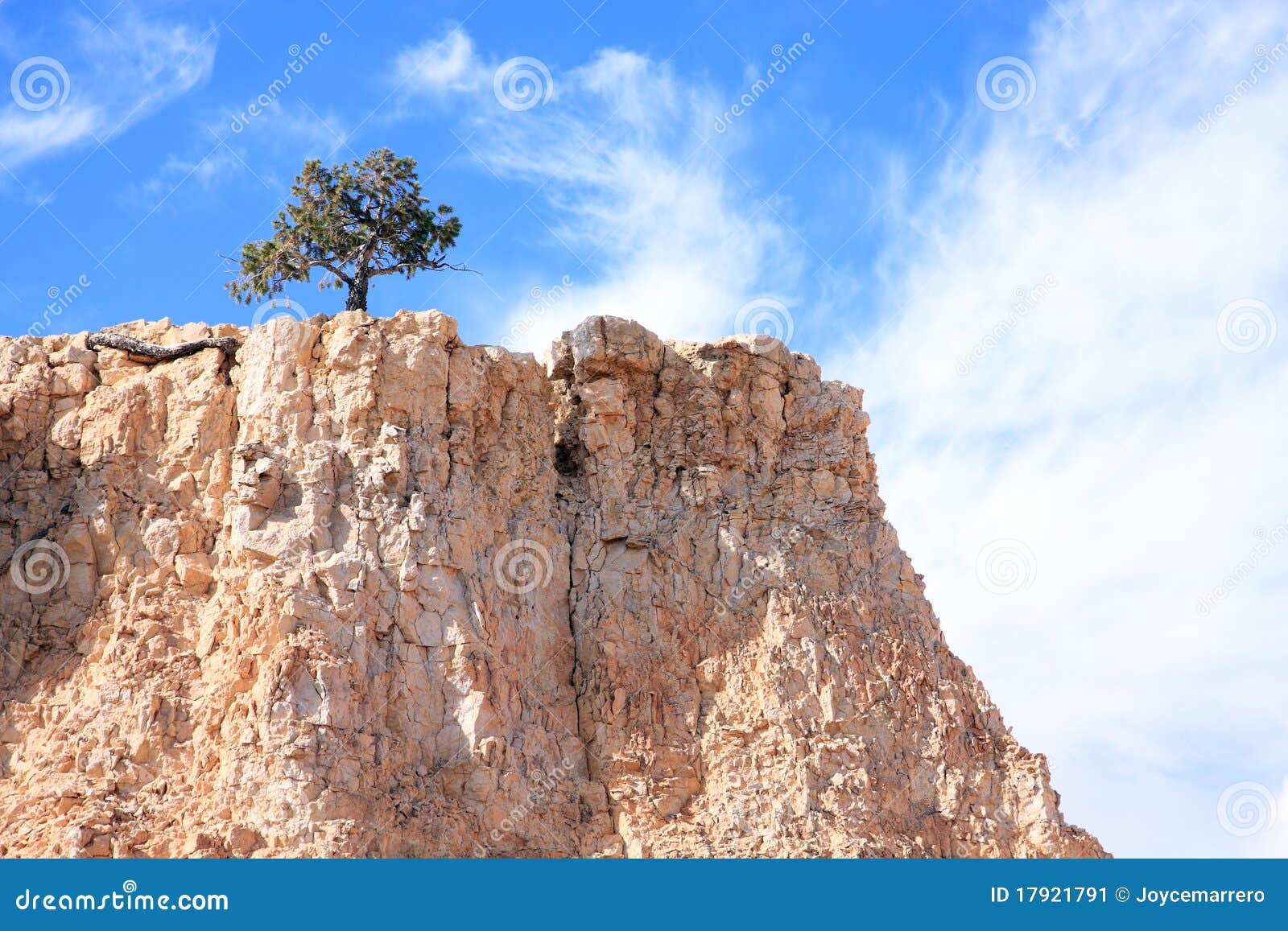 Lone Tree on Rocky Cliff stock image. Image of outdoor - 17921791