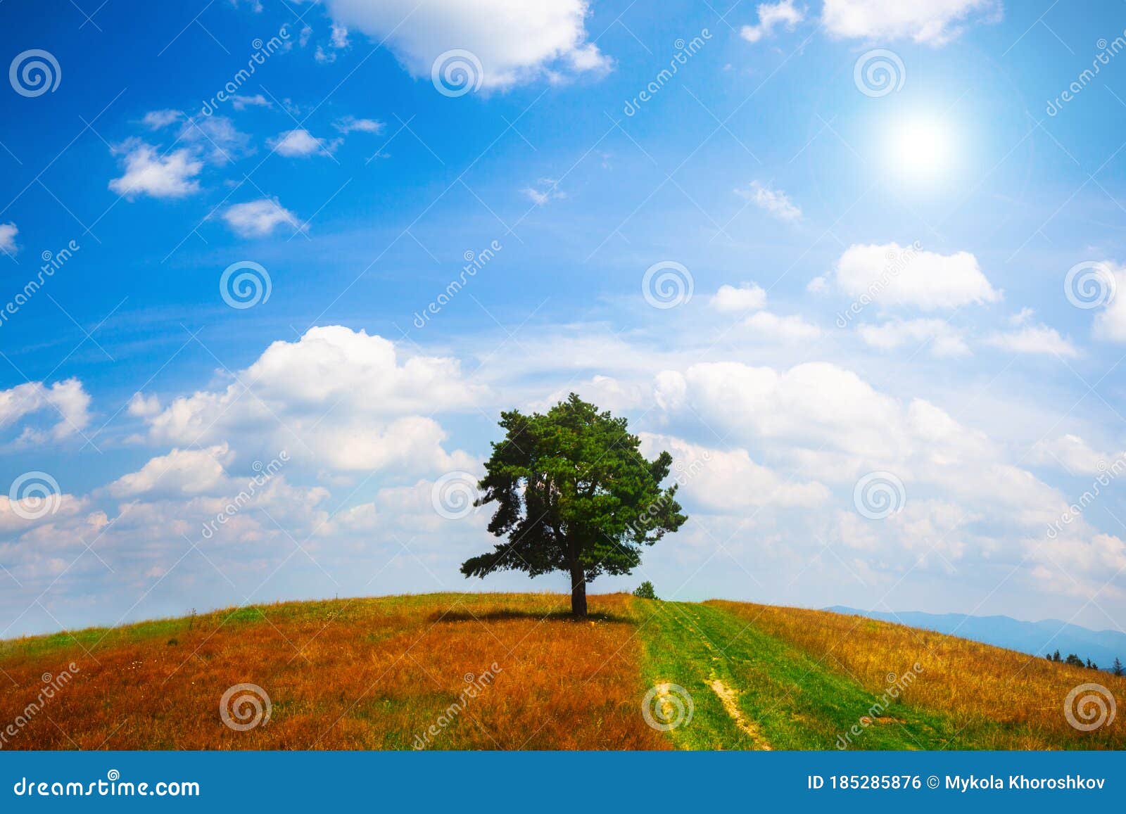 Lone Tree at the Summer Field Over Blue Sky Stock Photo - Image of ...