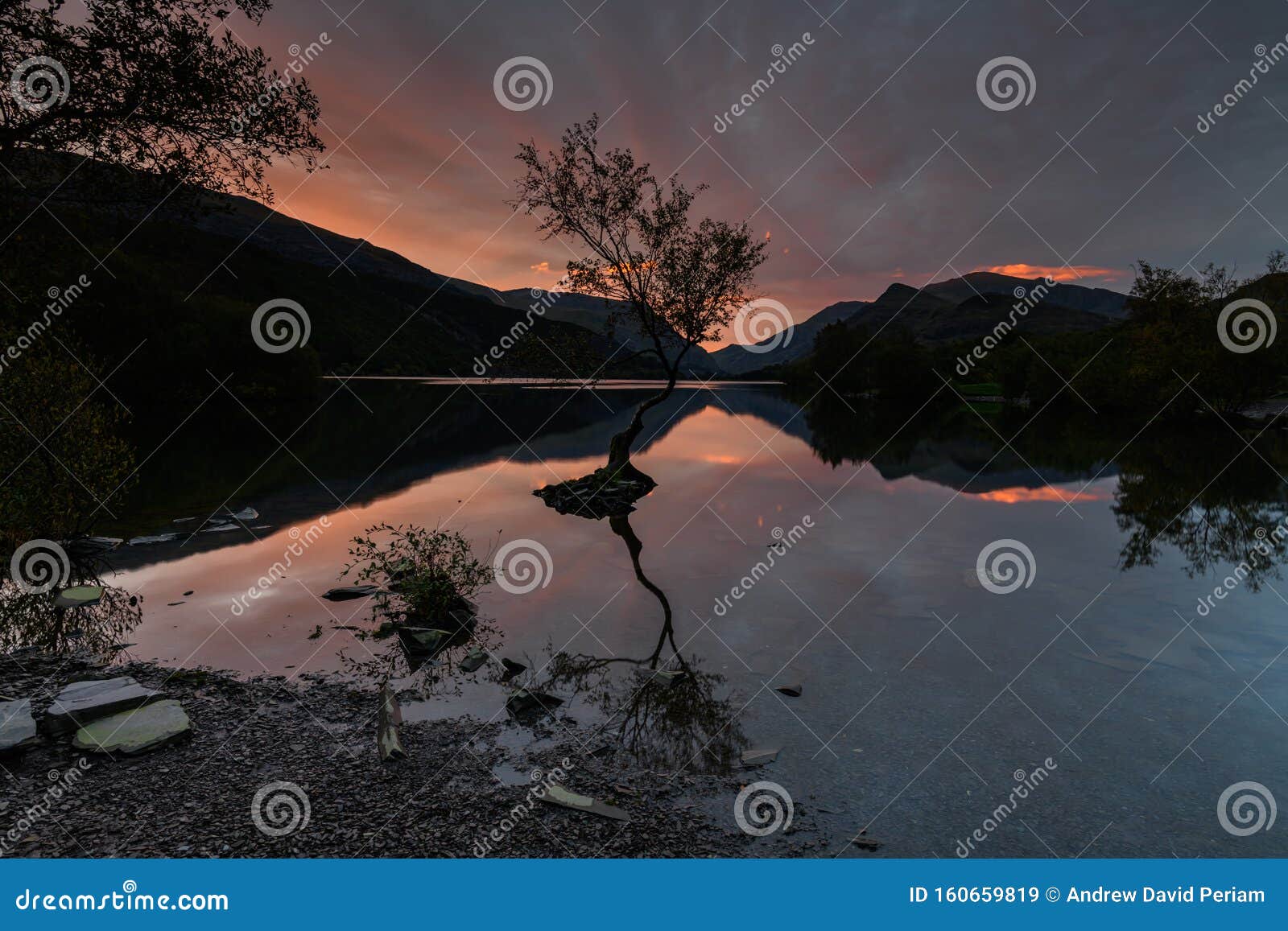 Lone tree sunrise stock image. Image of llamberis, picturesque - 160659819