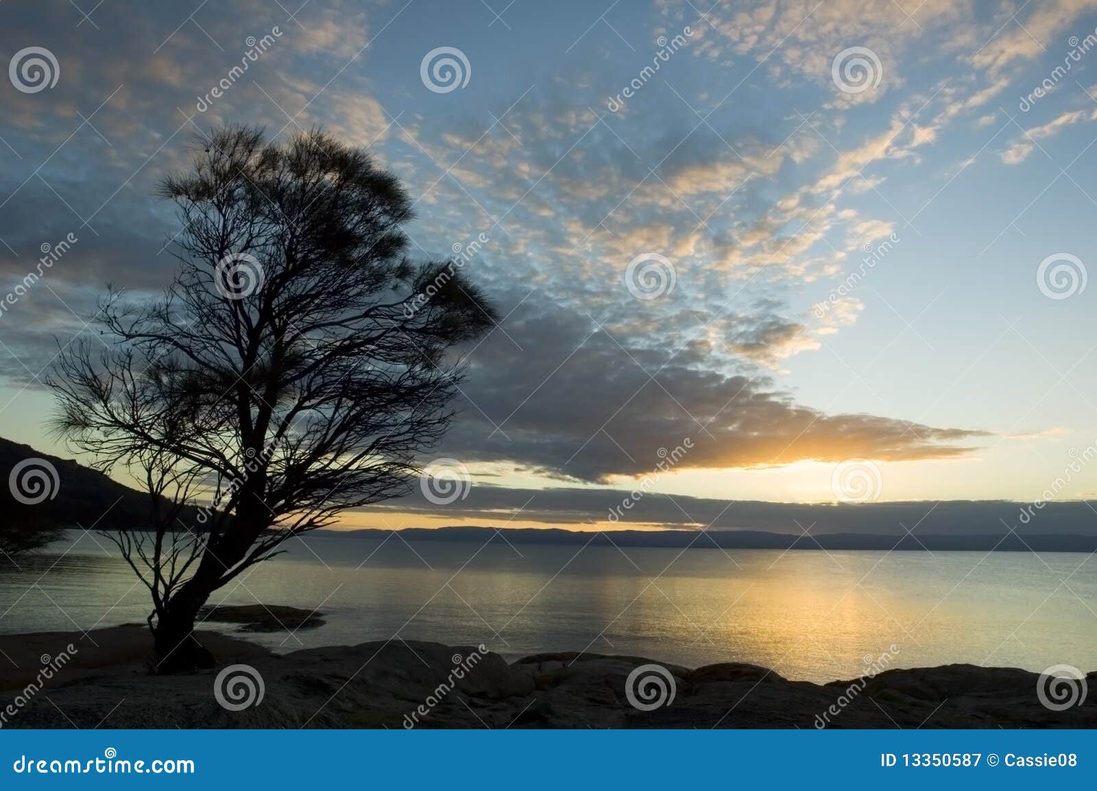 Lone tree sunset stock image. Image of empty, landscape - 13350587
